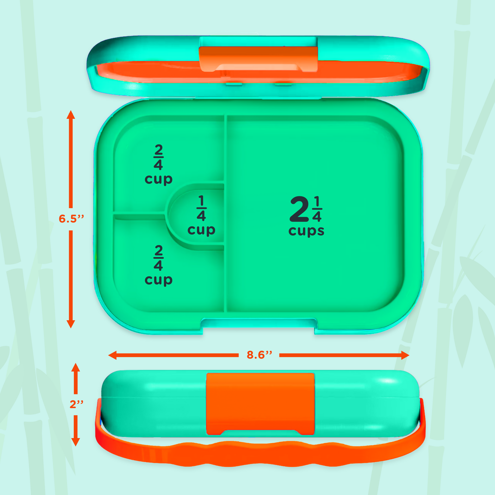 Panda Bento Box – Move2Play